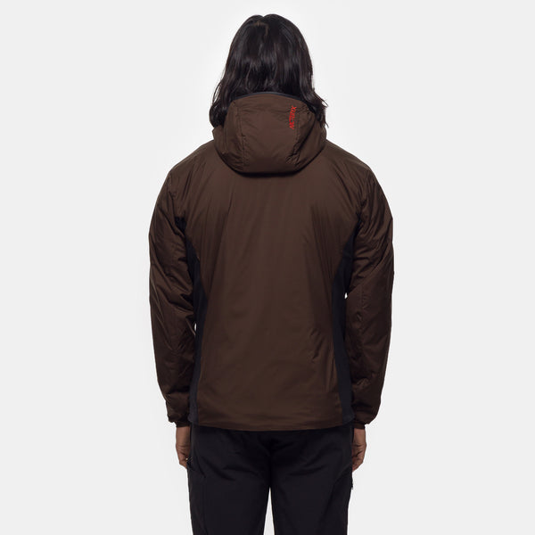 Atom Hoody in Carob/Black/Dynasty